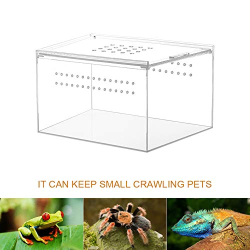 NANEEZOO Acrylic Reptile Breeding Box, 5x4x3 Inch Nano Flat/Long Enclosure Transparent Reptile Breeding Box Terrarium Cage Tank for Tarantula Scorpion Sling Isopods Invertebrates Insect Mantis