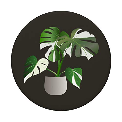 Albo Monstera Deliciosa Rare Plants Gift Plant Lover Gifts PopSockets PopGrip: Swappable Grip for Phones & Tablets