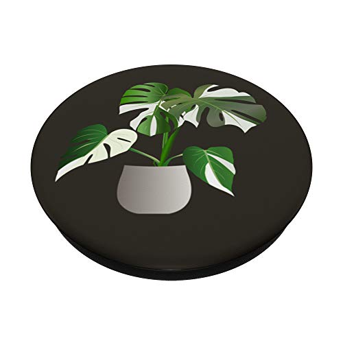 Albo Monstera Deliciosa Rare Plants Gift Plant Lover Gifts PopSockets PopGrip: Swappable Grip for Phones & Tablets