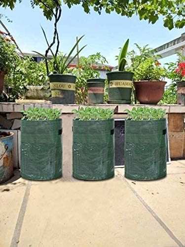 Potato Grow Bags,Potato Planters with Flap and Handles,Vegetables Garden Planting Bags for Onion,Fruits,Tomato,Carrot (10gallon-4pack)