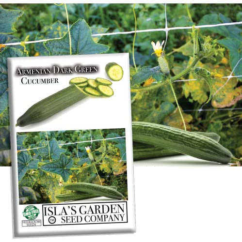 "Armenian Dark Green" Cucumber Seeds for Planting, 100+ Heirloom Seeds Per Packet, (Isla's Garden Seeds), Non GMO Seeds, Botanical Name: Cucumis sativus, Great Home Garden Gift