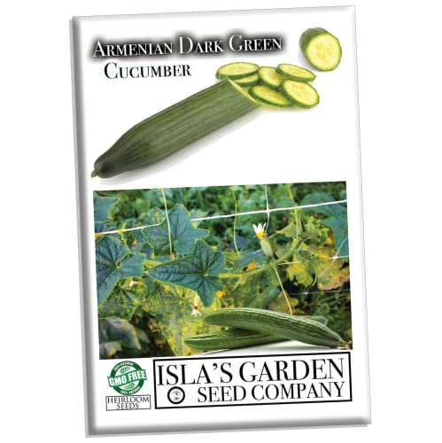 "Armenian Dark Green" Cucumber Seeds for Planting, 100+ Heirloom Seeds Per Packet, (Isla's Garden Seeds), Non GMO Seeds, Botanical Name: Cucumis sativus, Great Home Garden Gift