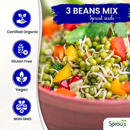 Nature Jims Sprouts 3 Bean Seed Mix - Certified Organic Green Pea, Lentil, Adzuki Bean Seeds for Planting - Non-GMO Vegetable Seeds - Resealable Bag for Freshness - Fast Sprouting Bean Seeds - 16 Oz