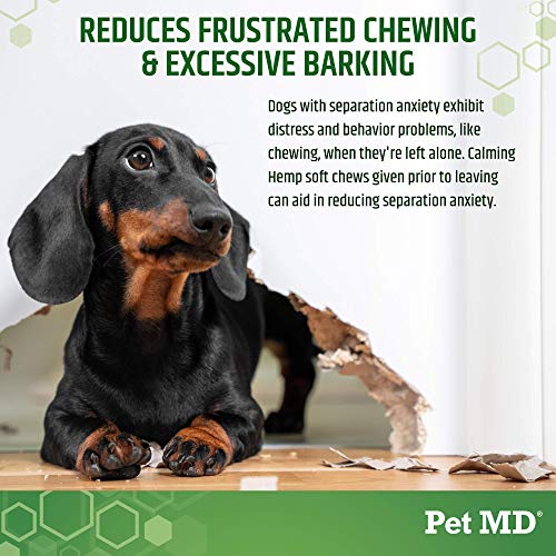 Pet MD Calming Chews for Dogs - Dog Calming Treats with Hemp & Melatonin - Calming, Anxiety Relief, & Separation Relaxant with Chamomile & L-Tryptophan - 120 CT