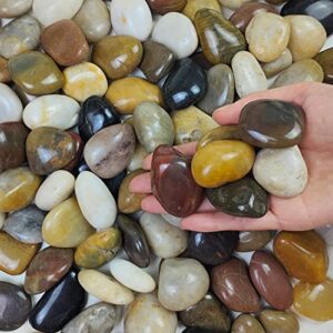 fantian 5lb decorative pebbles for indoor plants - 1.2-2 inch natural mixed color river rocks for plants, fish tank rocks, garden rocks, vase fillers, outdoor decorative stones and landscaping rocks