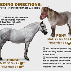 V-POINT - Laminitis Ease - Supports and Prevents Acute Laminitis Attacks, 100% Natural Herbal Powder for Horses (1.0 lb)