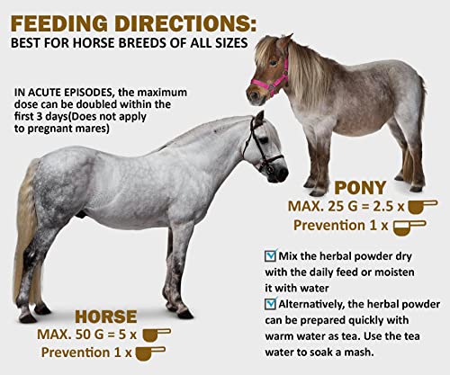 V-POINT - Laminitis Ease - Supports and Prevents Acute Laminitis Attacks, 100% Natural Herbal Powder for Horses (1.0 lb)