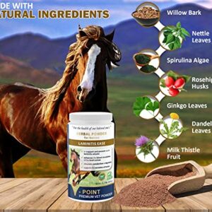 V-POINT - Laminitis Ease - Supports and Prevents Acute Laminitis Attacks, 100% Natural Herbal Powder for Horses (1.0 lb)