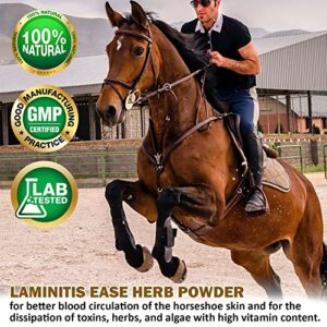 V-POINT - Laminitis Ease - Supports and Prevents Acute Laminitis Attacks, 100% Natural Herbal Powder for Horses (1.0 lb)