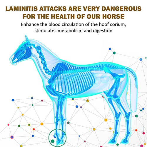 V-POINT - Laminitis Ease - Supports and Prevents Acute Laminitis Attacks, 100% Natural Herbal Powder for Horses (1.0 lb)