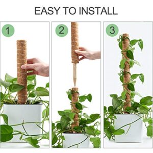 joyhalo Moss Pole- 15.7 Inch Moss Stick for Potted Plants, 4 Pcs Plant Support for Climbing Plants Monstera, Coir Totem Pole