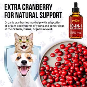 10 In 1 Cat & Dog Multivitamin - Hip & Joint Vitamins For Dogs + Vitamins C, D, B1-12 - Cranberry Supplement For Dogs & Cat Vitamins - Bladder, Kidney, Skin, Joint Support - Glucosamine Dog Supplement