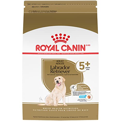 Royal Canin Breed Health Nutrition Labrador Retriever Adult Dry Dog Food