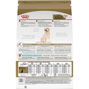 Royal Canin Breed Health Nutrition Labrador Retriever Adult Dry Dog Food