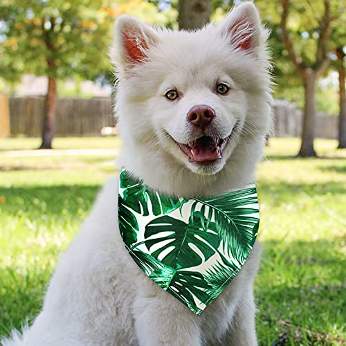 12 Pieces Dog Pet Summer Bandanas Washable Fruit Dog Bandanas Triangle Dog Bibs Scarf Assortment Pet Kerchief Dog Scarf Accessories for Small Medium Size Pets (Summer Patterns, M)