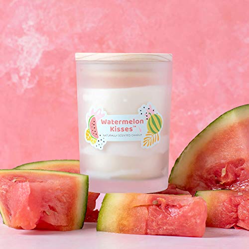 Plant Therapy Watermelon Kisses Aromatherapy Candle - Vegan Soy & Coconut Wax, 8 oz, Long Lasting, Hand Poured in The USA, Scented with Essential Oils