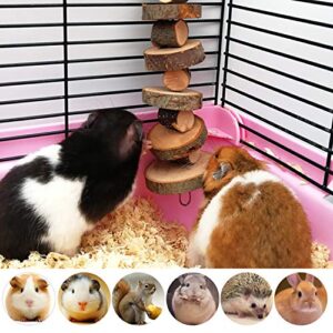 McFeddy Guinea Pigs Rabbits Hamster Chew Toys 10 Pcs of Wooden Small Animal Cage Accessories Organic Apple Wood Activity Toy Exercise wheelTeeth Molars Pet ball Suitable for Mouse Chinchillas Bird etc