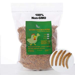 WORKPOINT 11LBS Dried Mealworms for Chickens, 100% Natural Premium Quality Non-GMO, Treats for Poultry, Chickens, Ducks and Geese