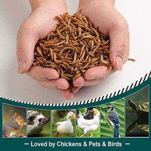 WORKPOINT 11LBS Dried Mealworms for Chickens, 100% Natural Premium Quality Non-GMO, Treats for Poultry, Chickens, Ducks and Geese