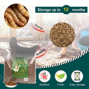 WORKPOINT 11LBS Dried Mealworms for Chickens, 100% Natural Premium Quality Non-GMO, Treats for Poultry, Chickens, Ducks and Geese