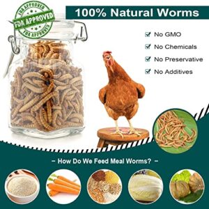 WORKPOINT 11LBS Dried Mealworms for Chickens, 100% Natural Premium Quality Non-GMO, Treats for Poultry, Chickens, Ducks and Geese