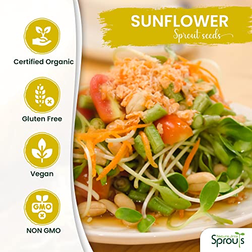 Nature Jims Sprouts Sunflower Seeds - Certified Organic Black Oil Sunflower Sprouts for Soups - Raw Bird Food Seeds - Non-GMO, Chemicals-Free - Easy to Plant, Fast Sprouting Sun Flower Seeds - 8 Oz