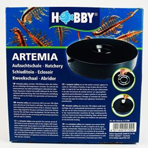 Brine Shrimp Hatchery Dish (Eggs Sold Separately.)