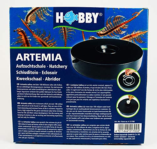 Brine Shrimp Hatchery Dish (Eggs Sold Separately.)