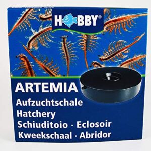 Brine Shrimp Hatchery Dish (Eggs Sold Separately.)