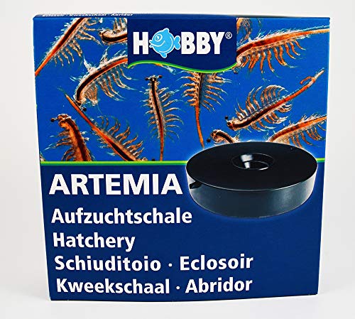 Brine Shrimp Hatchery Dish (Eggs Sold Separately.)