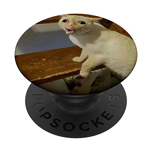 Meme Cat Coughing Animal Funny Picture Design PopSockets PopGrip: Swappable Grip for Phones & Tablets