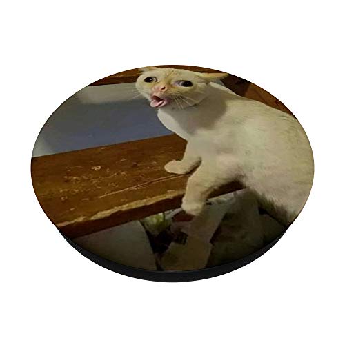 Meme Cat Coughing Animal Funny Picture Design PopSockets PopGrip: Swappable Grip for Phones & Tablets