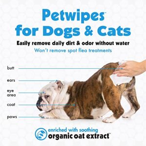 Petkin Pet Wipes for Dogs and Cats, 200 Wipes - Large Pet Wipes for Dogs and Cats - Cleans Ears, Face, Butt, Body and Eye Area - Convenient, Ideal for Home or Travel - 2 Packs of 100 Wipes