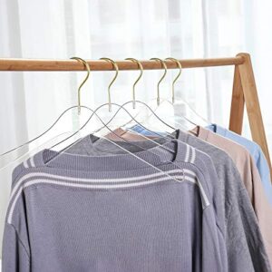 15 Pack Acrylic Hangers Clear and Gold Hangers Premium Quality Clear Acrylic Clothes Hangers Clothing Standard Hangers