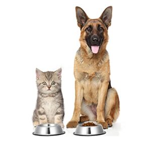 Mutsutaz 2 Pack Stainless Steel Dog Bowls with Rubber Bottom for Kitten, Puppies, Birds，¾ Cup / 6 oz