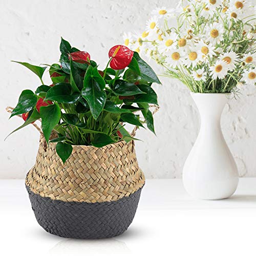 LetCart Storage Basket - Foldable Natural Seagrass Woven Clothes Storage Organizer Flower Plant Pot Basket(Black)