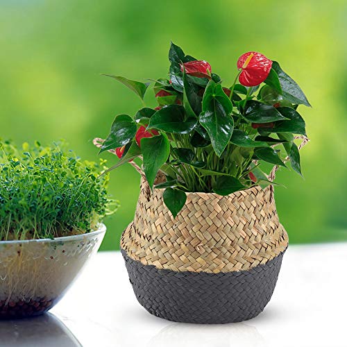 LetCart Storage Basket - Foldable Natural Seagrass Woven Clothes Storage Organizer Flower Plant Pot Basket(Black)