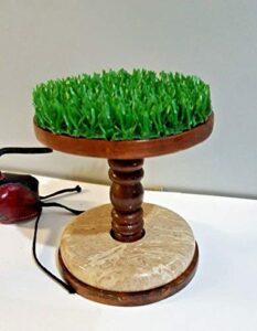 falconry wood block perch 5.5" kestrel & merlin, marble & astroturf (small size)