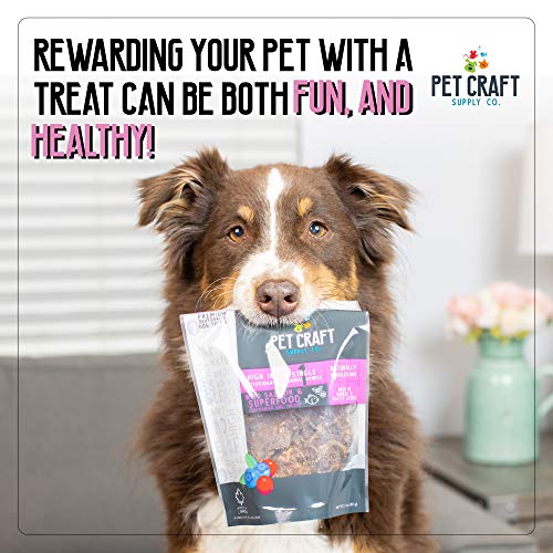 Pet Craft Supply Wild Caught Pure Dehydrated Pacific Salmon Blueberry Cranberry Superfood Healthy High in Antioxidants Vitamins Fish Oil for Small Medium Large Dog Puppy Training Treats