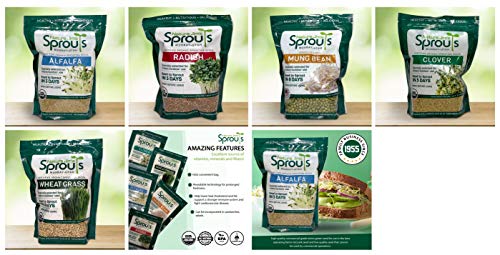 Nature Jims Mung Bean Sprout Seeds – 16 Oz Sprouting Seeds – Premium Mung Bean Seeds – NON GMO- Resealable Bag for Longer Freshness – Rich in Vitamins, Minerals, Fiber