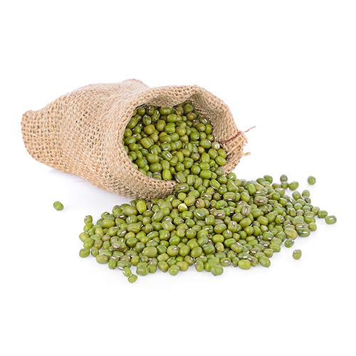 Nature Jims Mung Bean Sprout Seeds – 16 Oz Sprouting Seeds – Premium Mung Bean Seeds – NON GMO- Resealable Bag for Longer Freshness – Rich in Vitamins, Minerals, Fiber