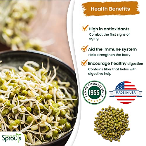 Nature Jims Mung Bean Sprout Seeds – 16 Oz Sprouting Seeds – Premium Mung Bean Seeds – NON GMO- Resealable Bag for Longer Freshness – Rich in Vitamins, Minerals, Fiber