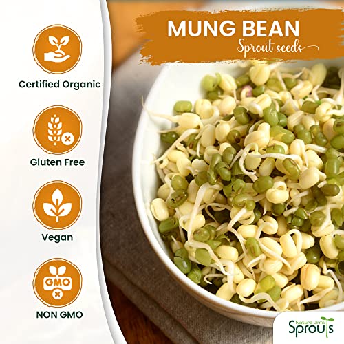 Nature Jims Mung Bean Sprout Seeds – 16 Oz Sprouting Seeds – Premium Mung Bean Seeds – NON GMO- Resealable Bag for Longer Freshness – Rich in Vitamins, Minerals, Fiber