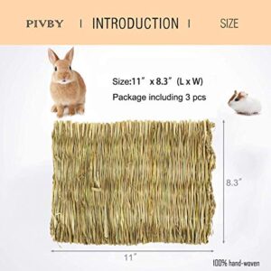 PINVNBY Rabbit Mat for Cages Woven Bunny Grass Bed Nest Chew Toy Bed for Hamsters Parrot Hedgehog Guinea Pig Bunny and Other Small Animals (12 Pack)