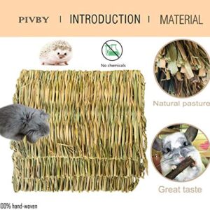 PINVNBY Rabbit Mat for Cages Woven Bunny Grass Bed Nest Chew Toy Bed for Hamsters Parrot Hedgehog Guinea Pig Bunny and Other Small Animals (12 Pack)