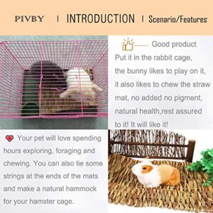 PINVNBY Rabbit Mat for Cages Woven Bunny Grass Bed Nest Chew Toy Bed for Hamsters Parrot Hedgehog Guinea Pig Bunny and Other Small Animals (12 Pack)