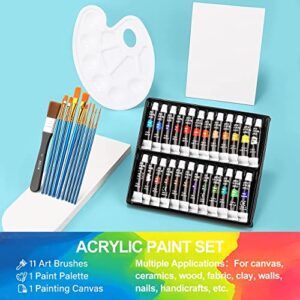 Emooqi Acrylic Paint Set, 24 Rich Paint Colors, with 11 Art Brushes, Paint Palette & Painting Canvas - Quick Dry Paints for Hobby Painters & Kids, Great for Canvas Wood Rock Ceramic Painting.