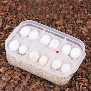 valentine's day presentandraw durable transparent reptile incubation box, plastic lizards breeding incubator tray reptiles eggs incubator, other reptiles lizard for hatching gecko