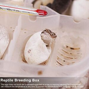 Valentine's Day PresentAndraw Durable Transparent Reptile Incubation Box, Plastic Lizards Breeding Incubator Tray Reptiles Eggs Incubator, Other Reptiles Lizard for Hatching Gecko