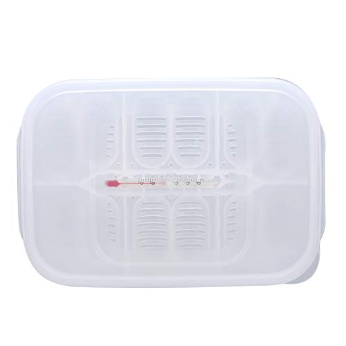 Valentine's Day PresentAndraw Durable Transparent Reptile Incubation Box, Plastic Lizards Breeding Incubator Tray Reptiles Eggs Incubator, Other Reptiles Lizard for Hatching Gecko